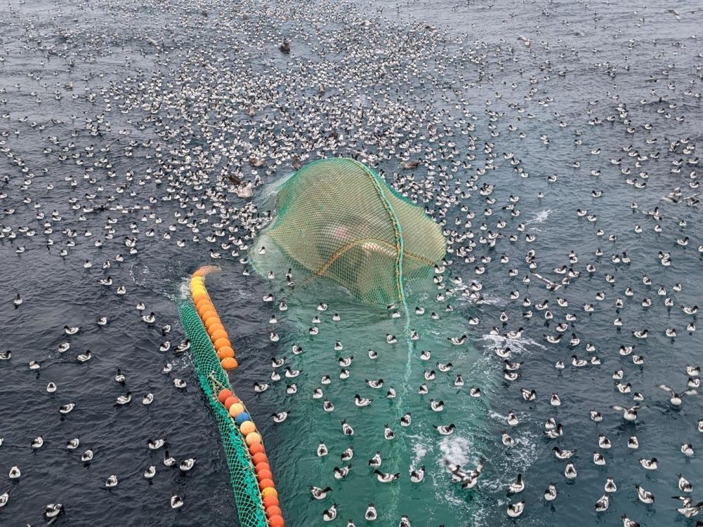 Factory fishing in Antarctica for krill targets the cornerstone of a ...